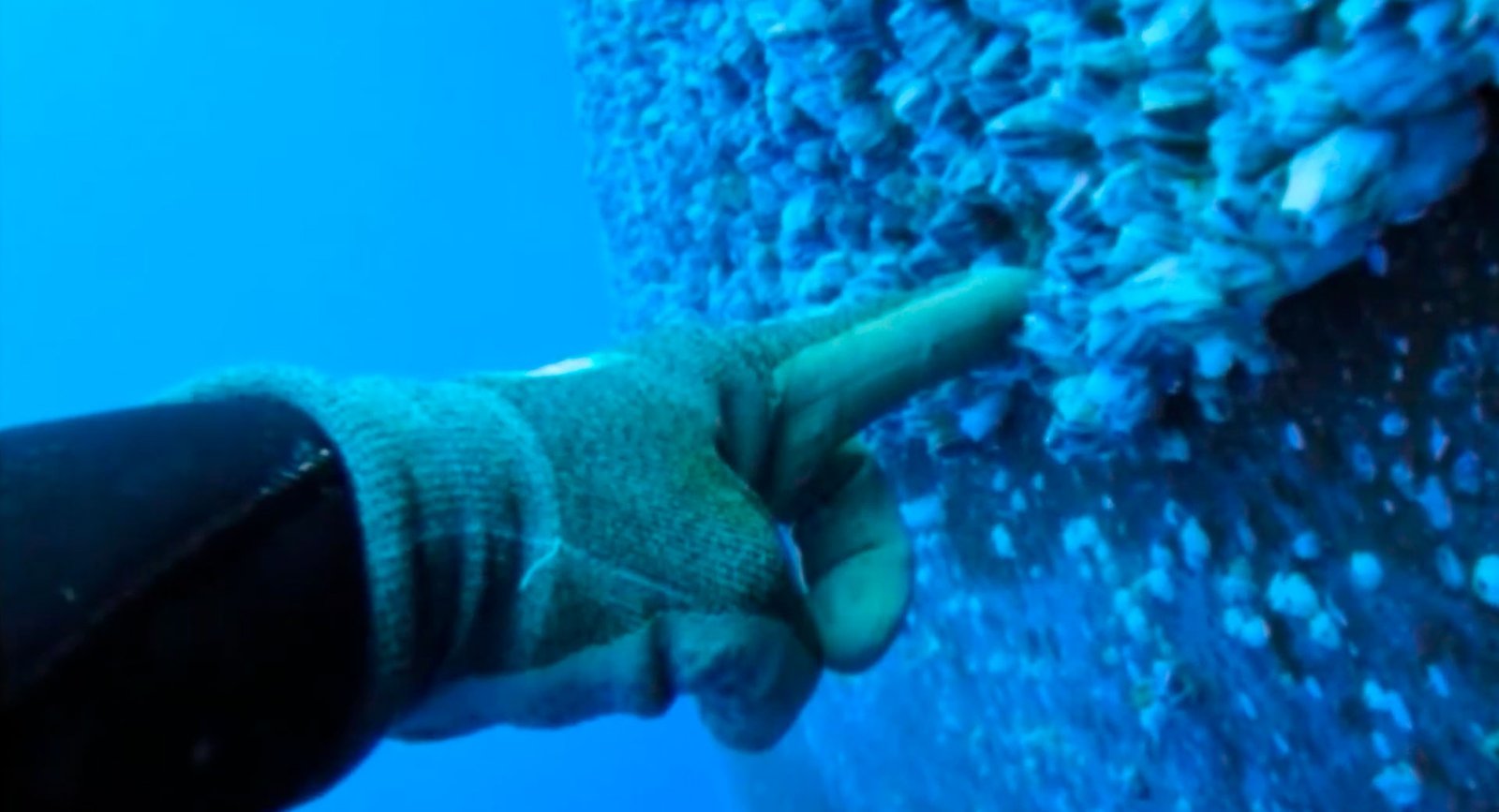 Recommended Underwater Hull Cleaning Plan and Schedule - Aquadiver Panamá