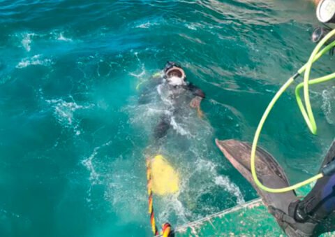 The Importance of Performing Antifouling Paint Inspection - Aquadiver ...